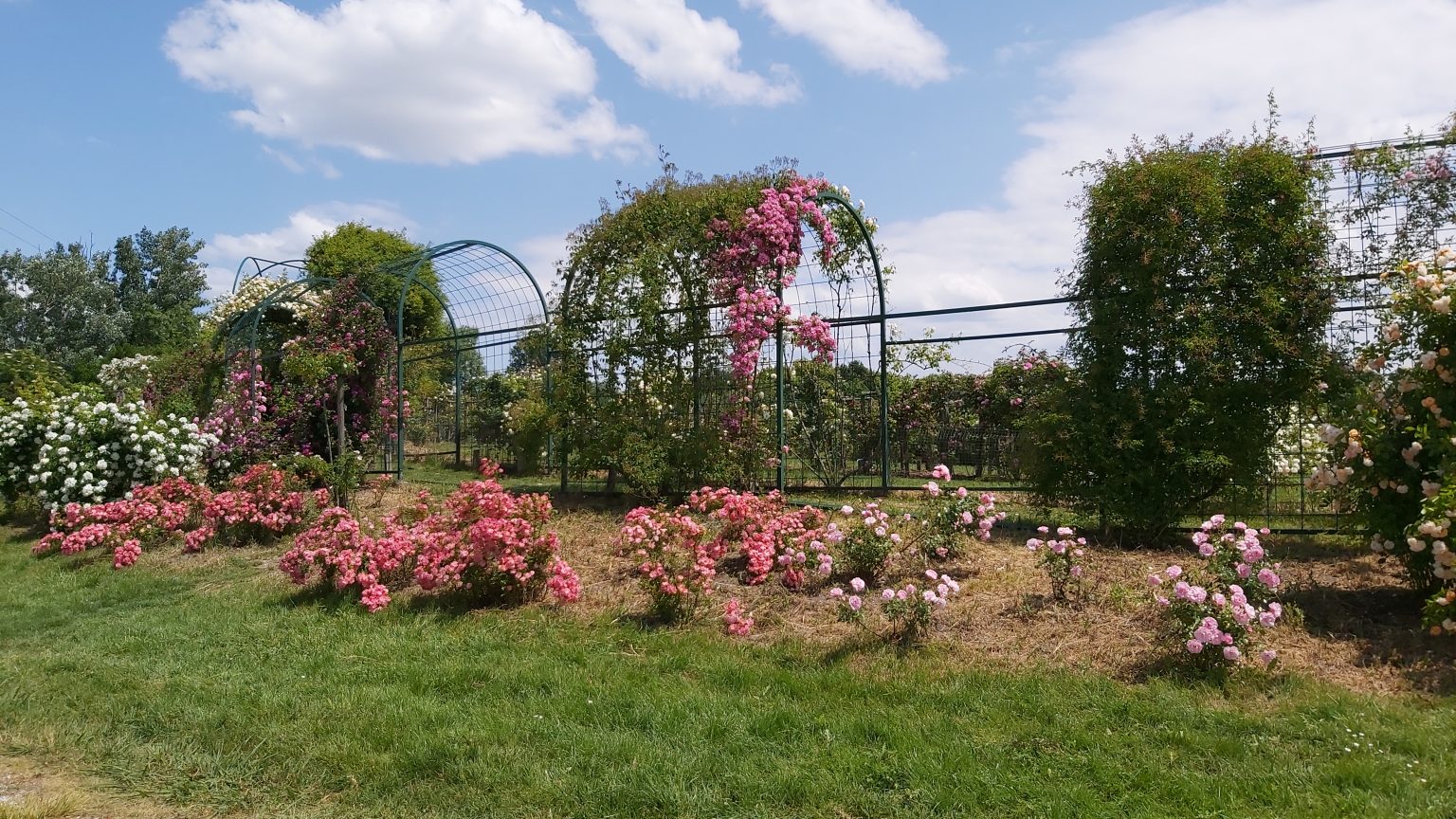 Parc de la Roseraie – 25/05/2023 – Association PasserelleS