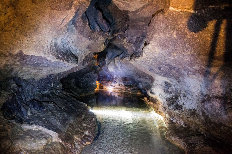 15 Mars 2025- La Grotte Célestine et le Château de Rauzan – Association ...